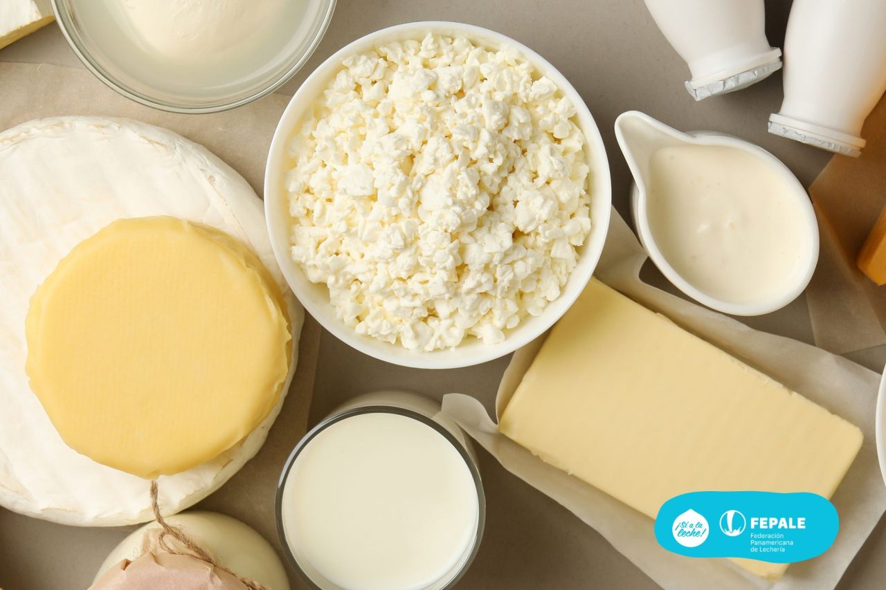 Mitos y falsas creencias populares sobre lácteos | SI A LA LECHE